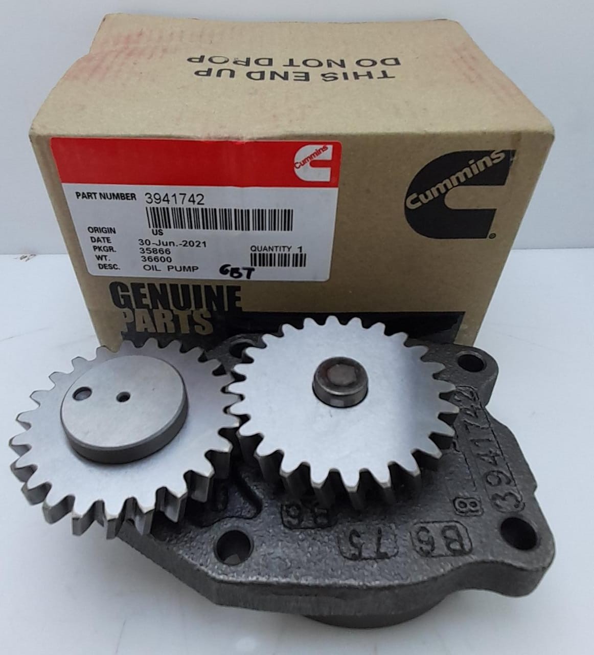 6BT Oil Pump - GESTOR DE PARTES