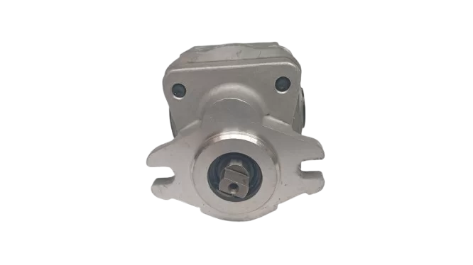 SBS80 PILOT PUMP 1731203 - GESTOR DE PARTES